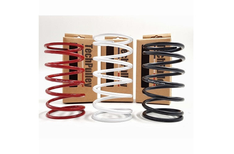 TechPulley CVT Torque Spring 250 300 – TBSS Taiwan