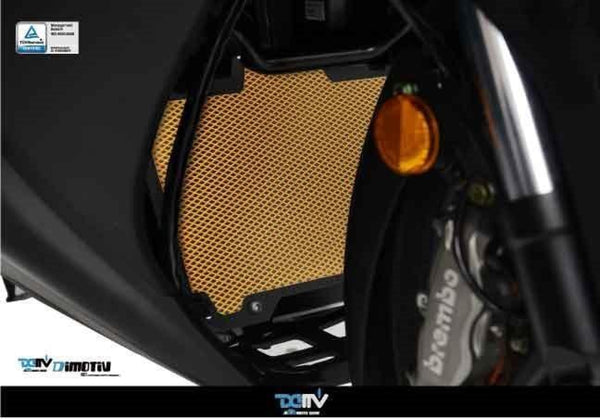 DIMOTIV KYMCO AK550 Radiator Guard – TBSS Taiwan